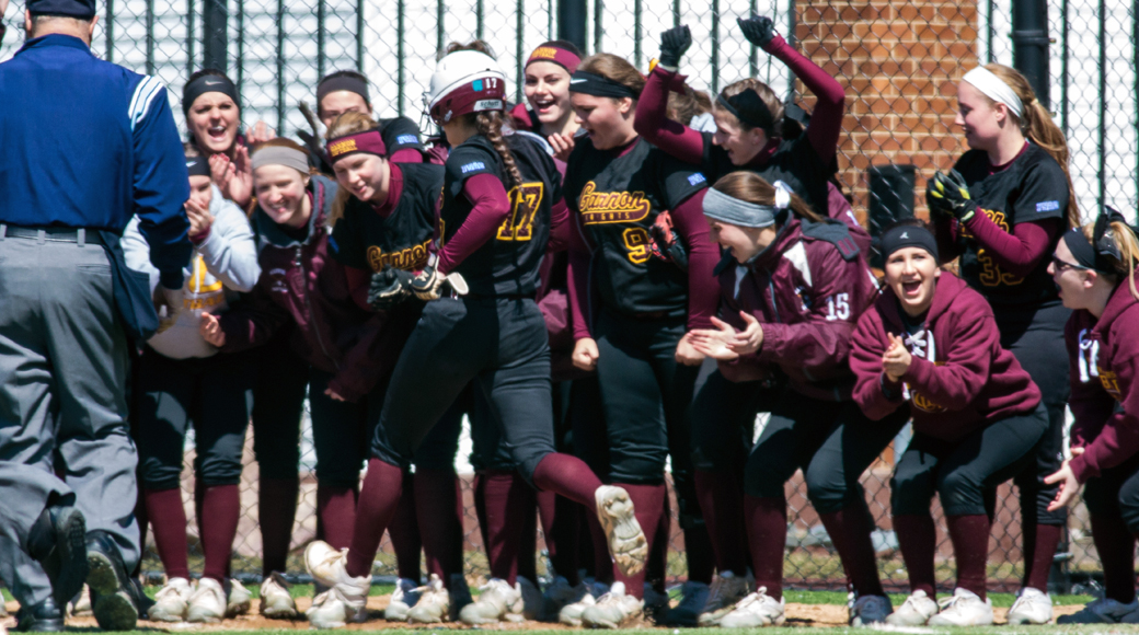 Lisa Szajn - 2020 - Softball - Gannon University Athletics