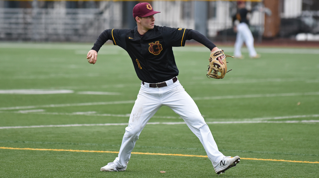 Justin Hamm - 2020 - Baseball - Gannon University Athletics