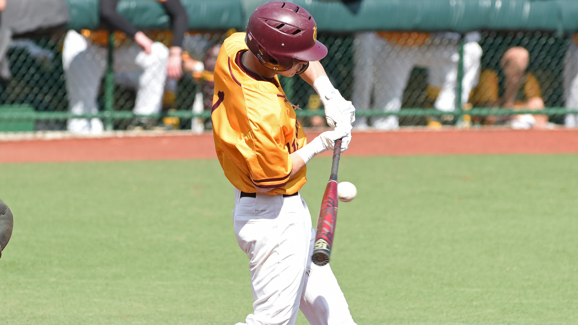 Justin Hamm - 2020 - Baseball - Gannon University Athletics