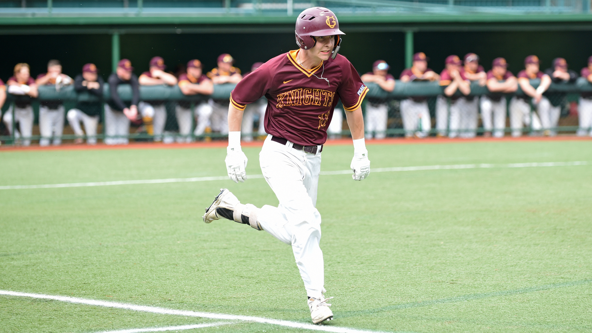 Justin Hamm - 2020 - Baseball - Gannon University Athletics
