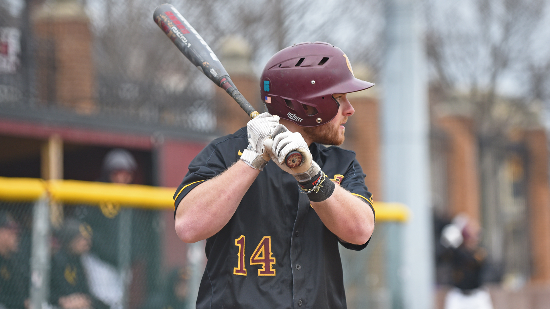 Ian Steighner - 2019 - Baseball - Gannon University Athletics