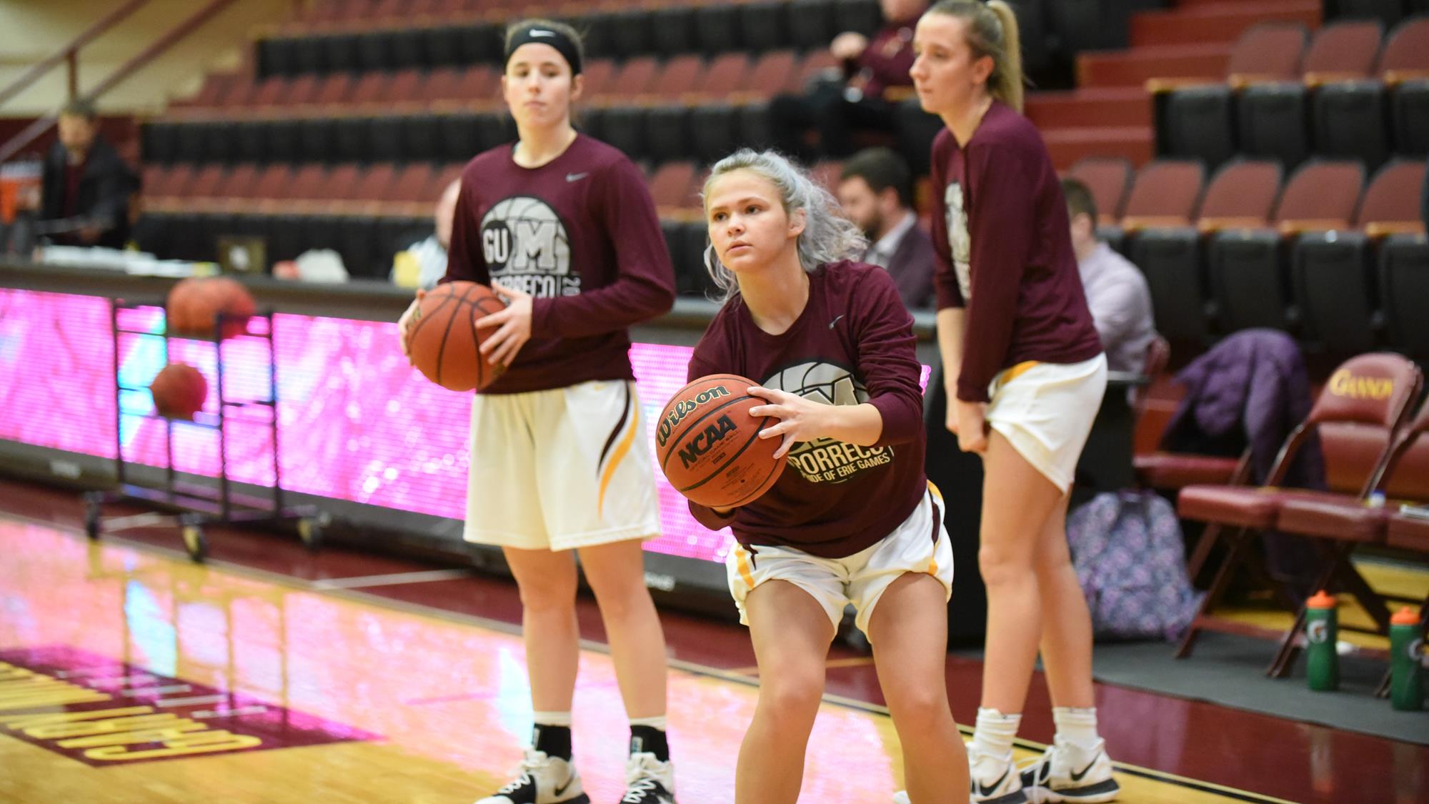 Faith Williams - 2022-23 - Women's Basketball - Gannon University Athletics