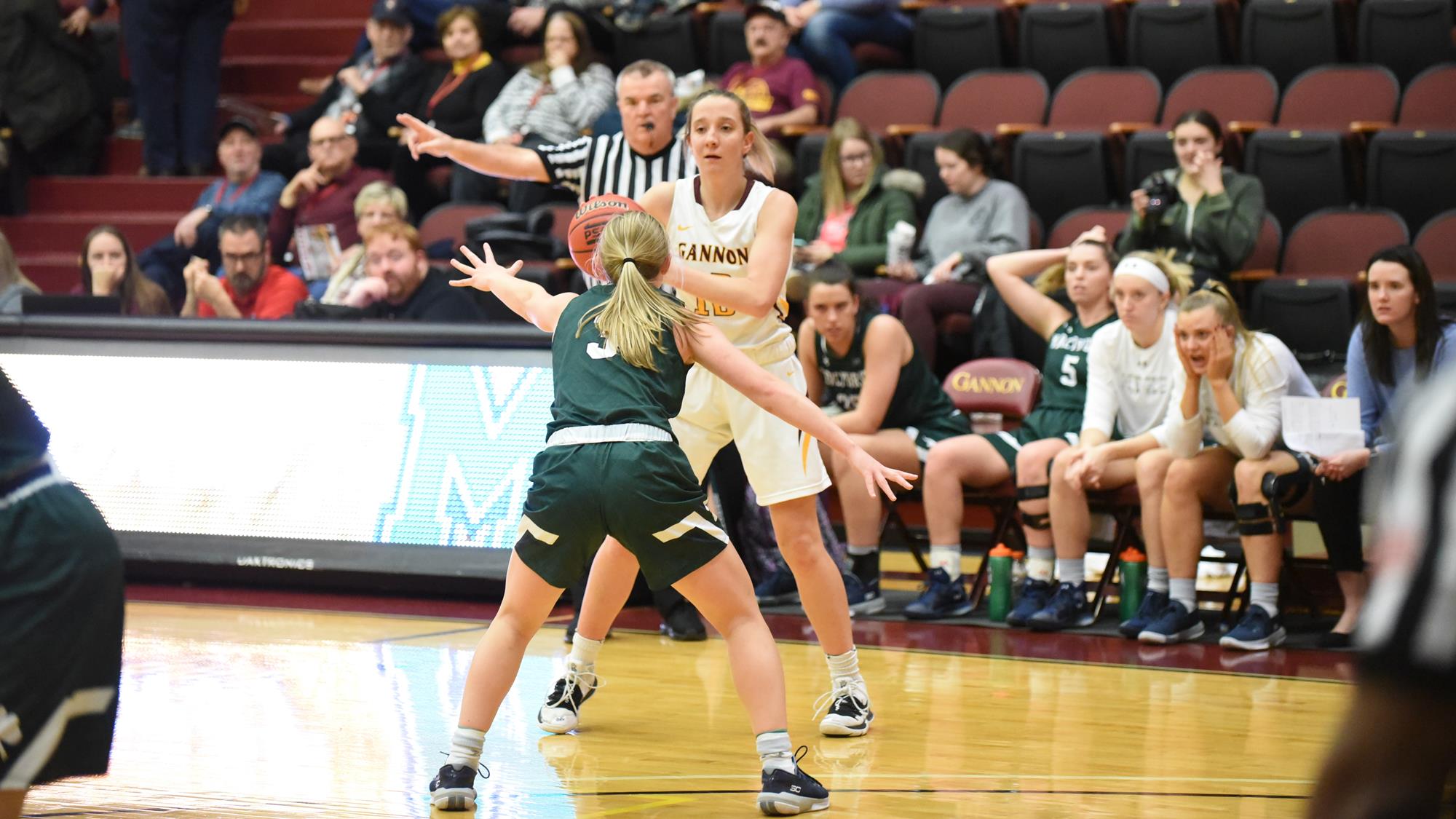Chelsea Rourke - 2019-20 - Women's Basketball - Gannon University Athletics
