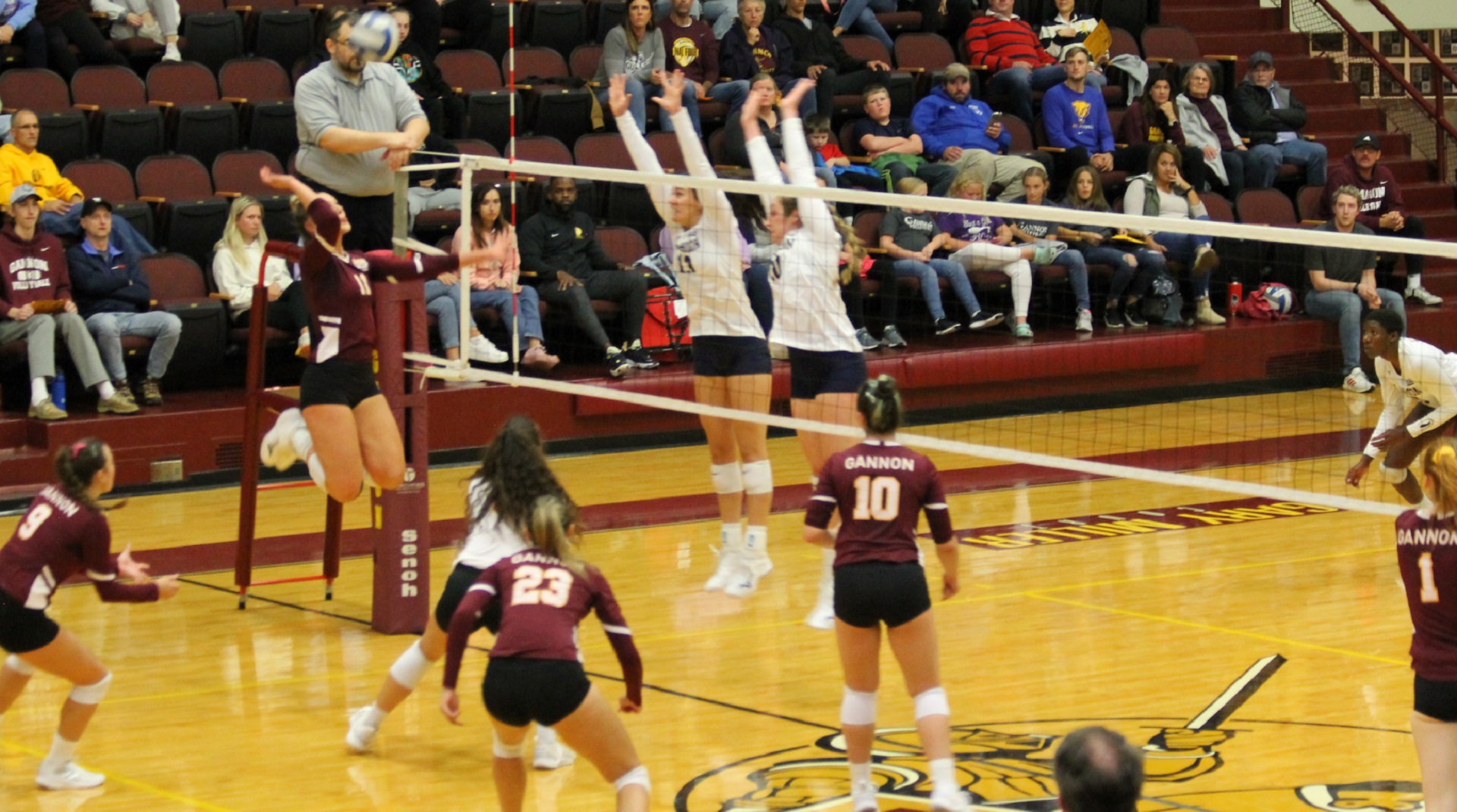 Clarion downs Gannon volleyball team in battle for first place in PSAC ...