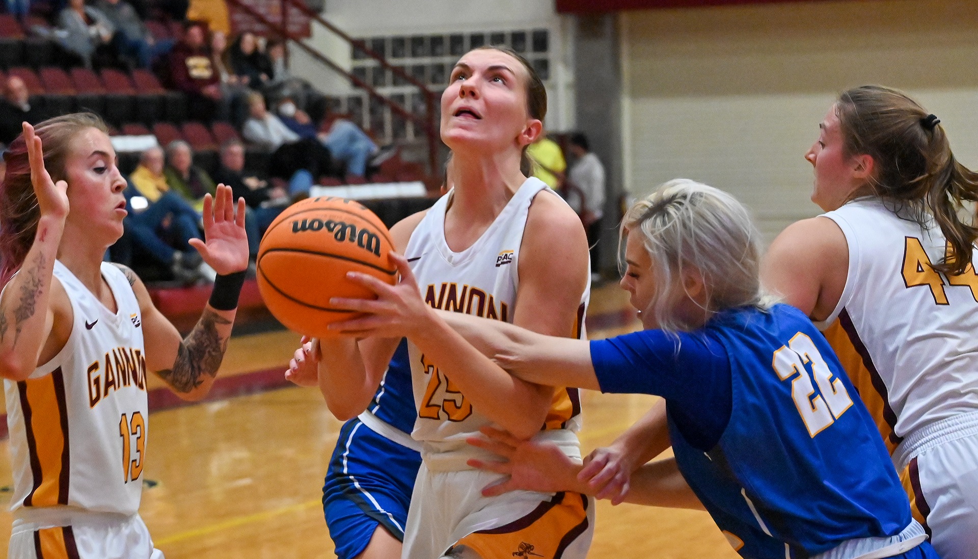 Madison Demski - 2022-23 - Women's Basketball - Gannon University Athletics