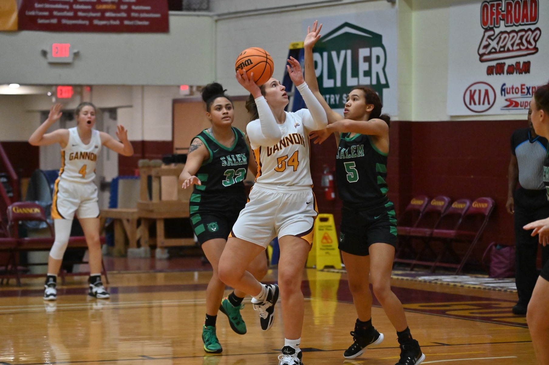 Delaney Dogan - 2022-23 - Women's Basketball - Gannon University Athletics