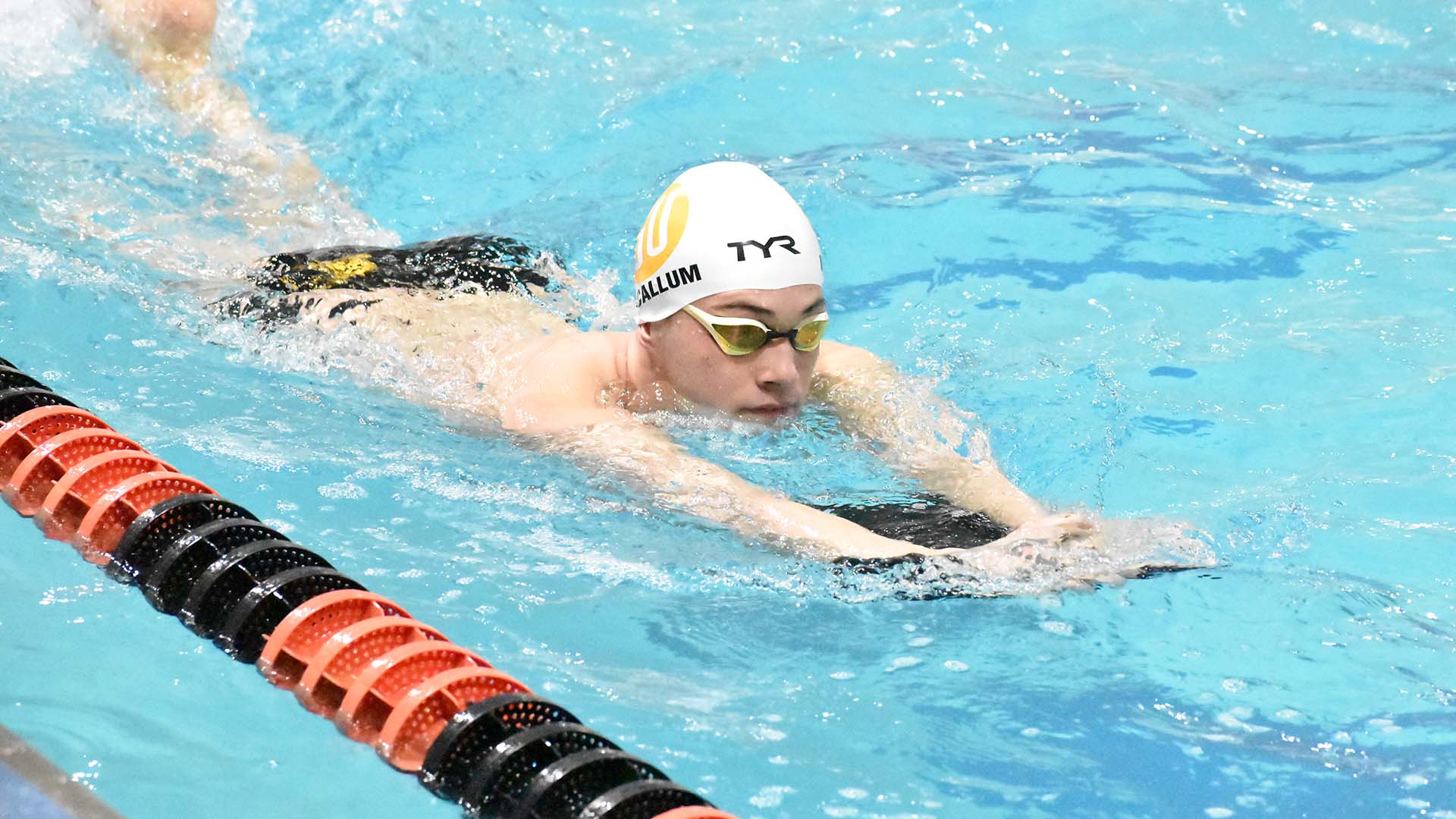 Stephen McCallum - 2023-24 - Men's Swimming and Diving - Gannon ...