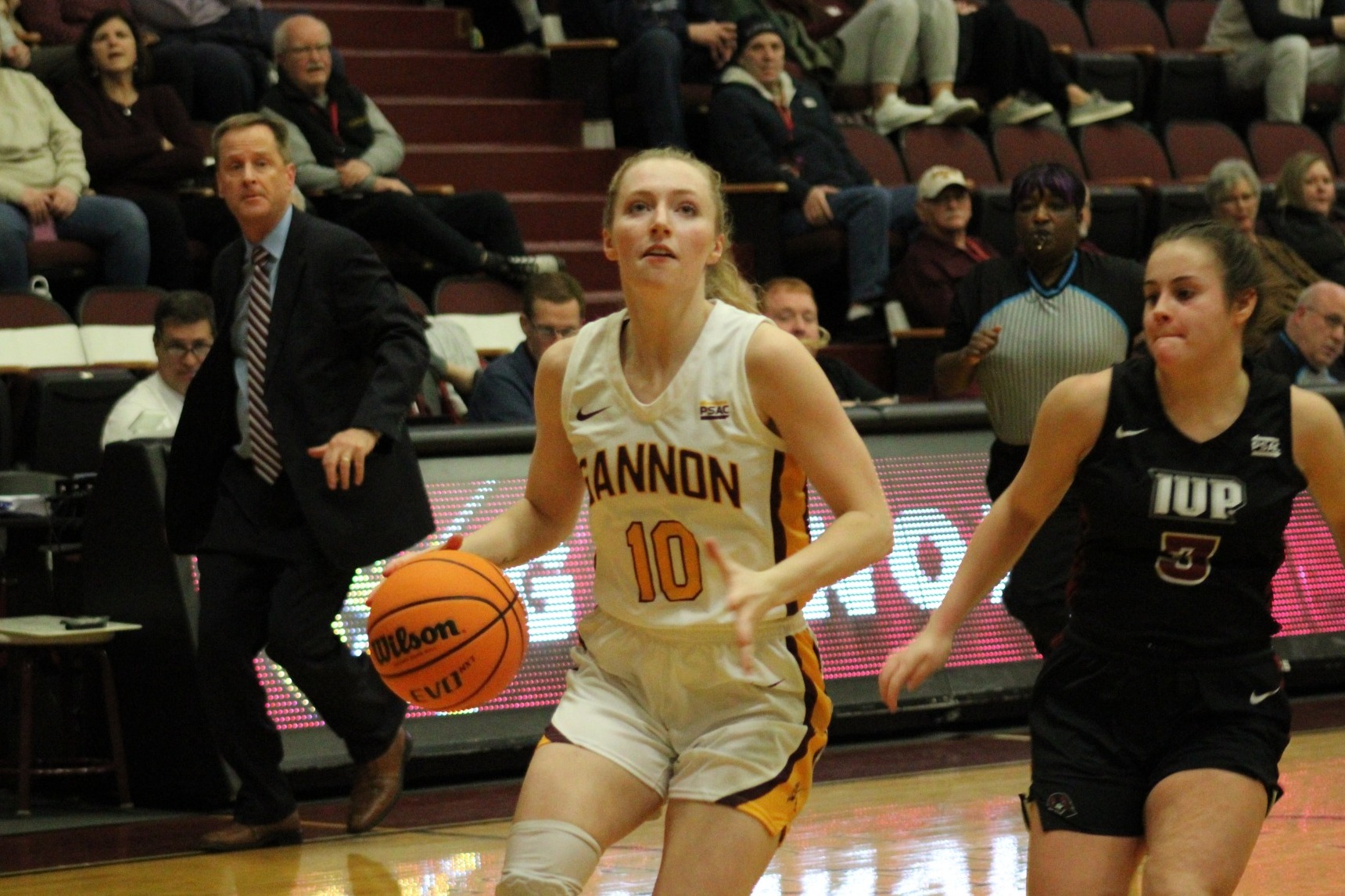 Ali Benim - 2023-24 - Women's Basketball - Gannon University Athletics