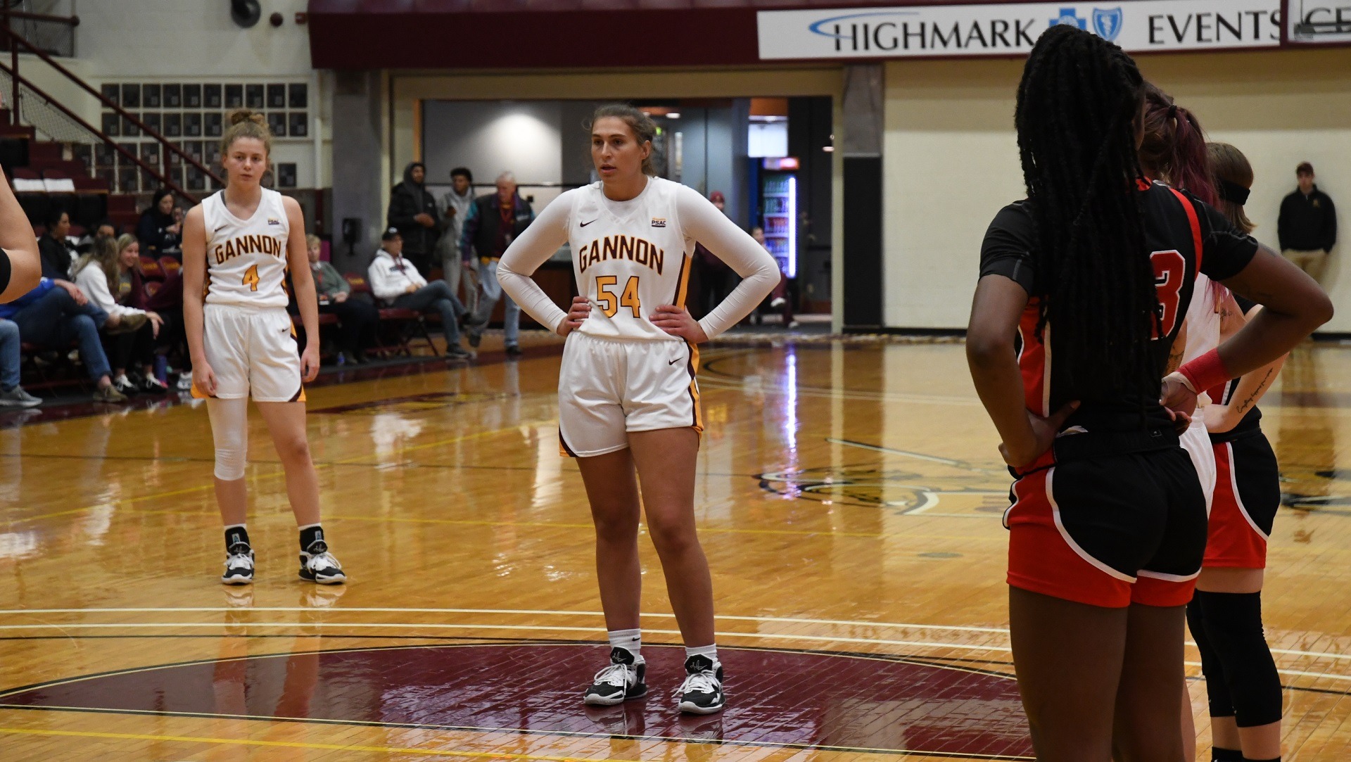 Delaney Dogan - 2022-23 - Women's Basketball - Gannon University Athletics