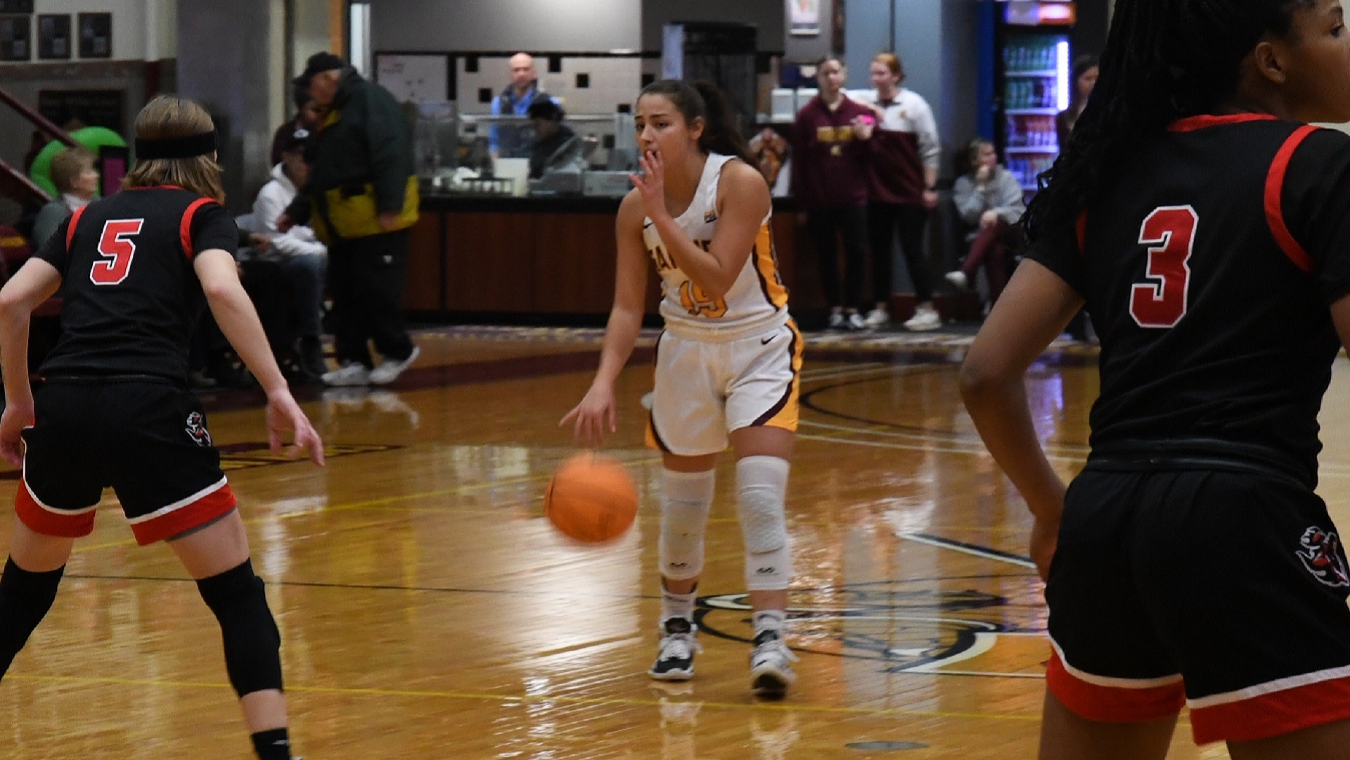 Boston McKinney - 2022-23 - Women's Basketball - Gannon University ...