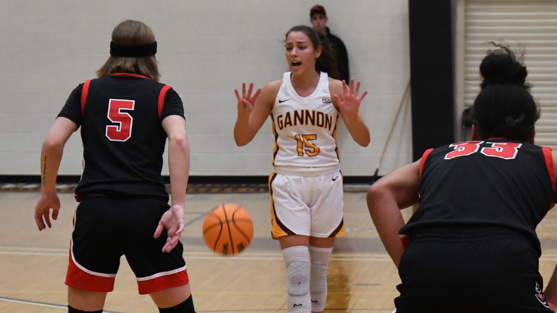 Boston McKinney - 2022-23 - Women's Basketball - Gannon University ...