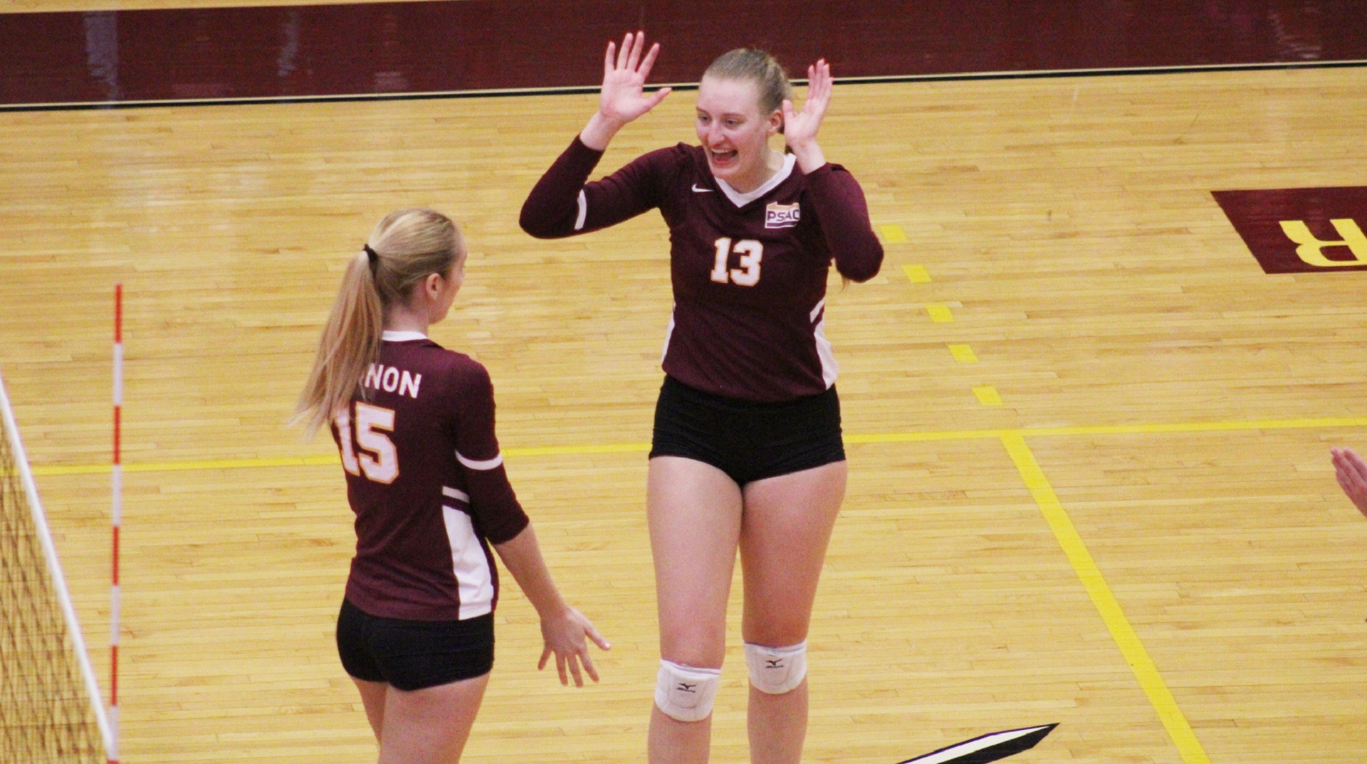 Koch records career high for kills as Gannon volleyball team claims ...