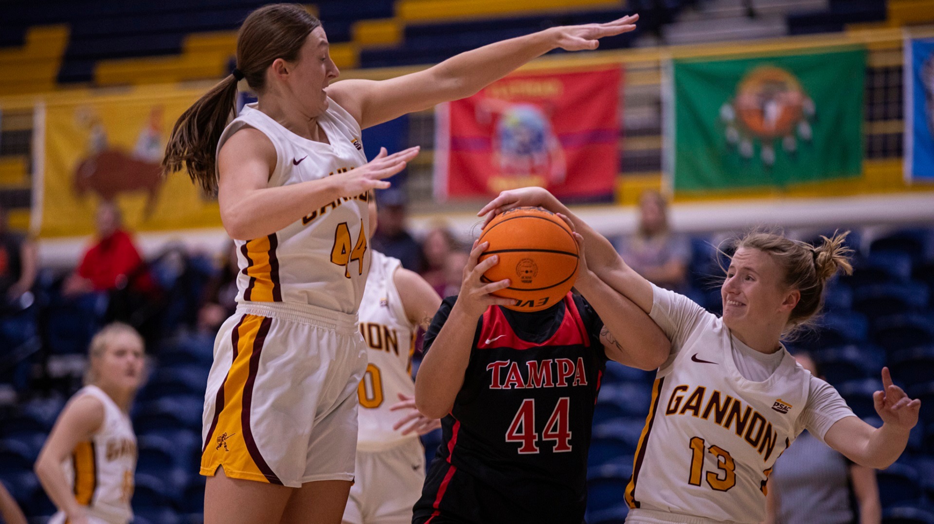 Gannon Posts Upset of Nationally-Ranked Team for Second Day in a Row ...