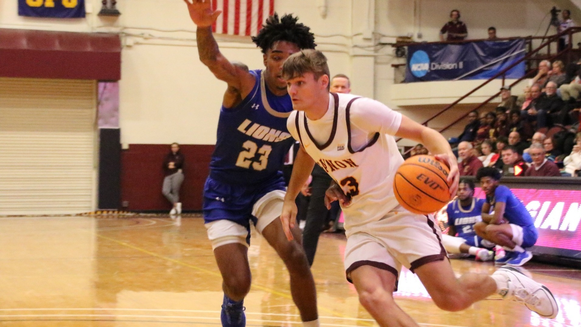 Nathan Schneider - 2023-24 - Men's Basketball - Gannon University Athletics