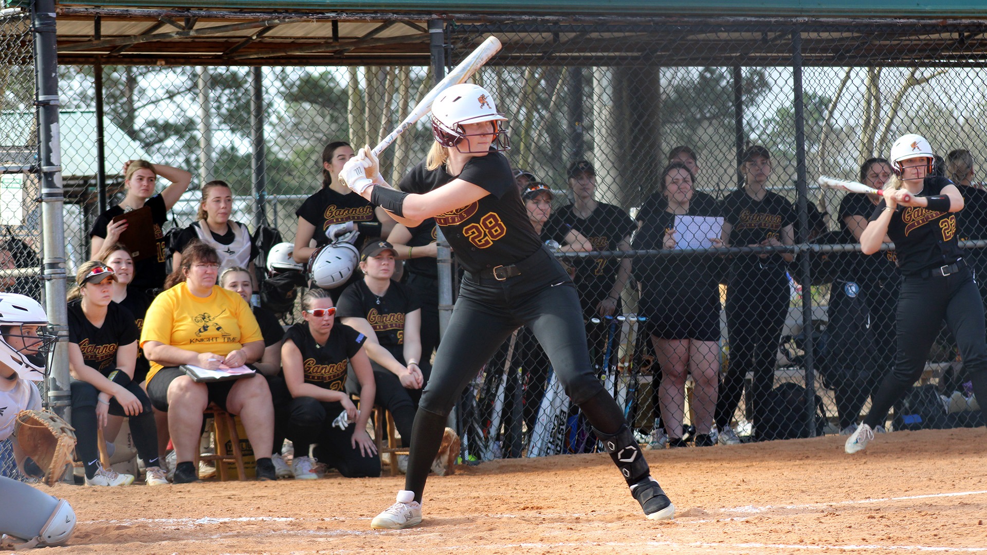 Jules Ryan - 2024 - Softball - Gannon University Athletics