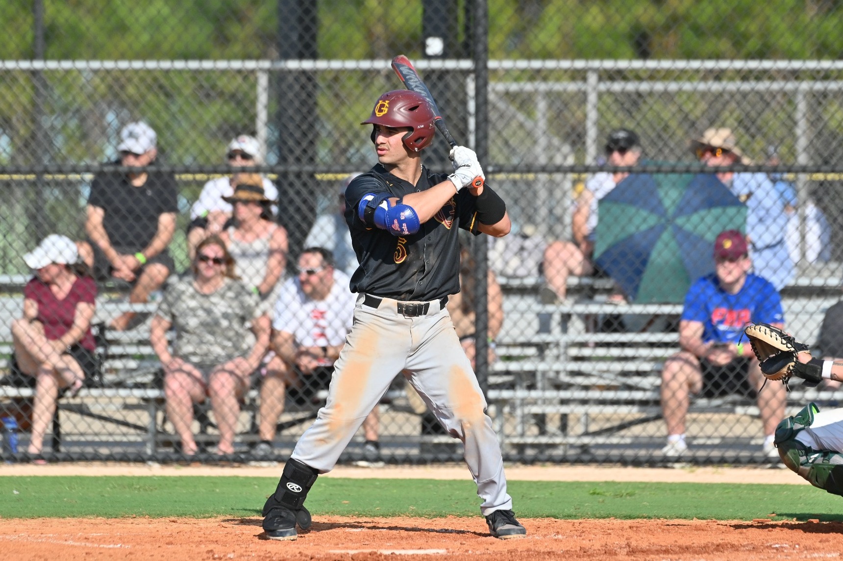 Miguel Vega - 2024 - Baseball - Gannon University Athletics