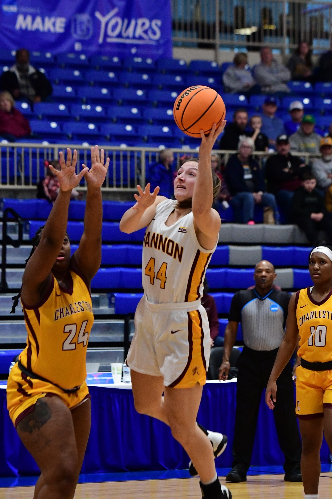 Samantha Pirosko - 2023-24 - Women's Basketball - Gannon University ...