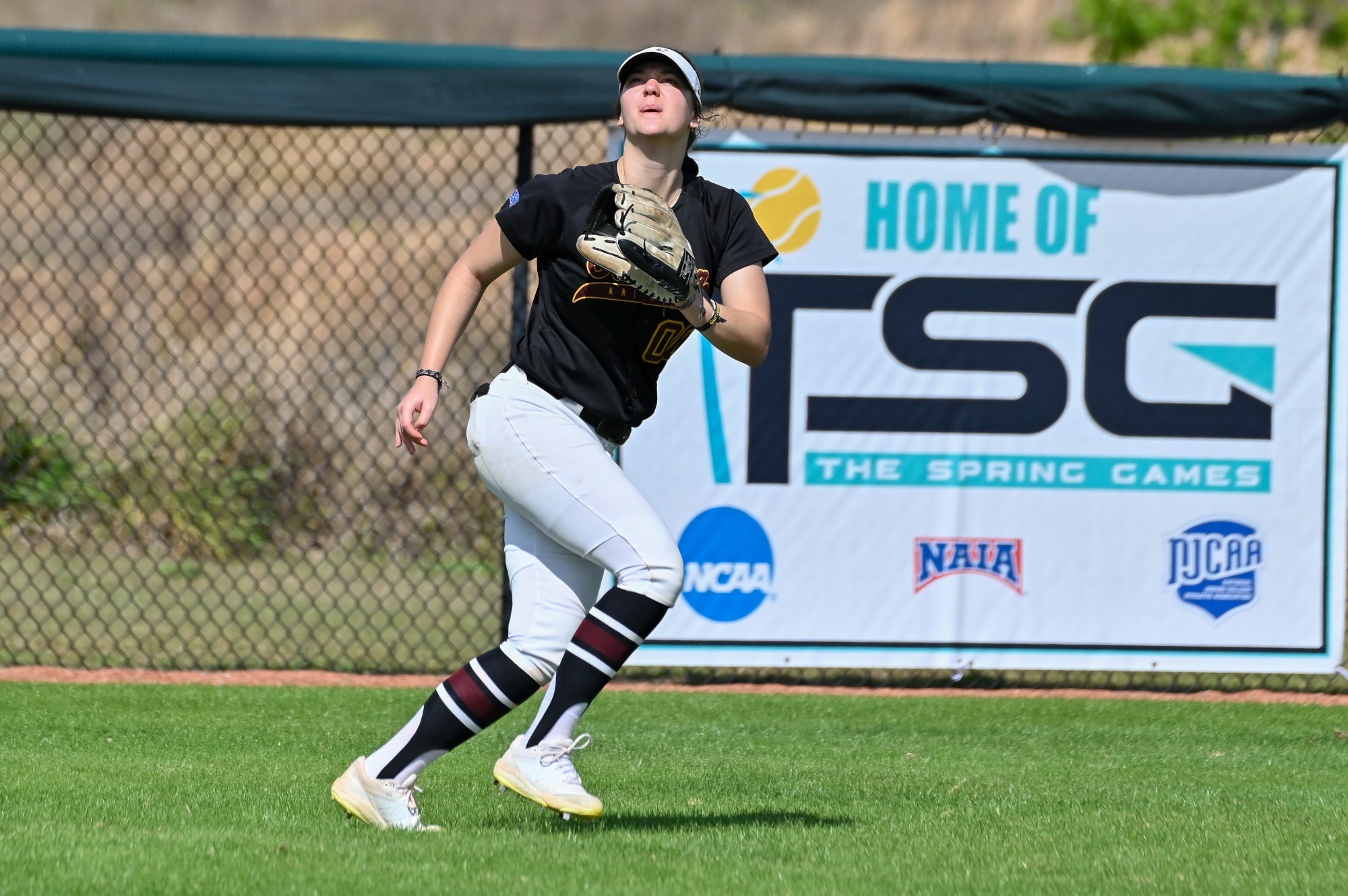 Katie Sidare - 2024 - Softball - Gannon University Athletics