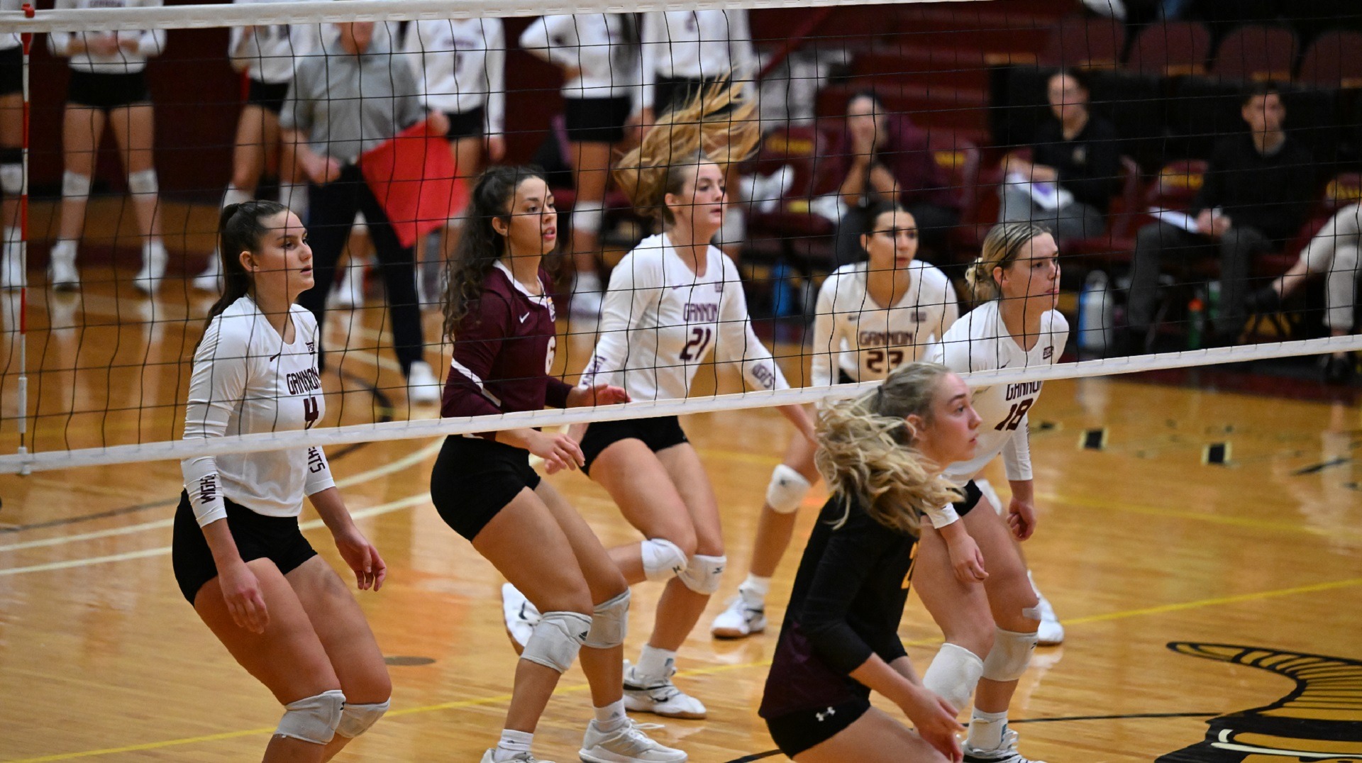 Gannon volleyball team rallies from 2-0 deficit to beat Slippery Rock ...