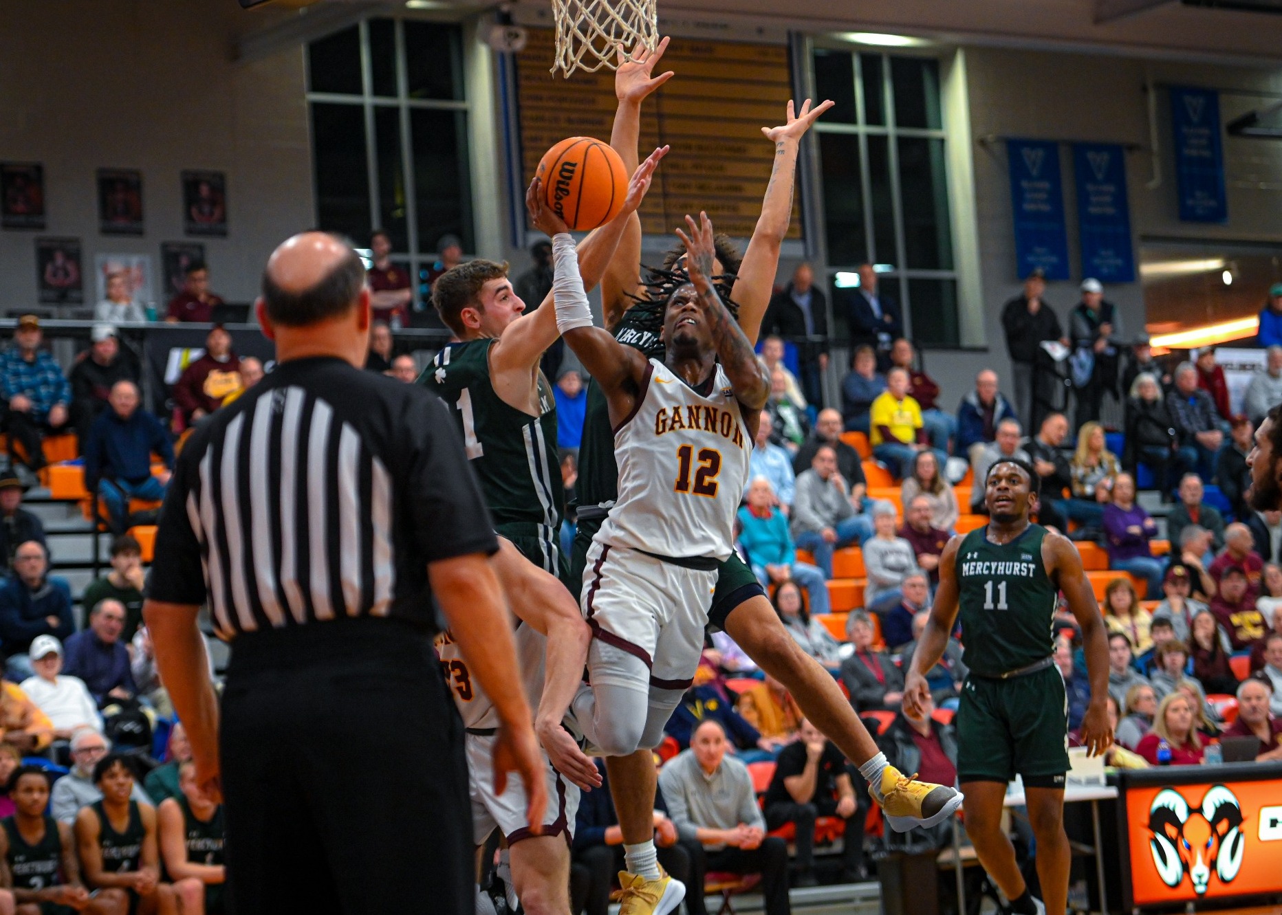 Derrick James - 2023-24 - Men's Basketball - Gannon University Athletics