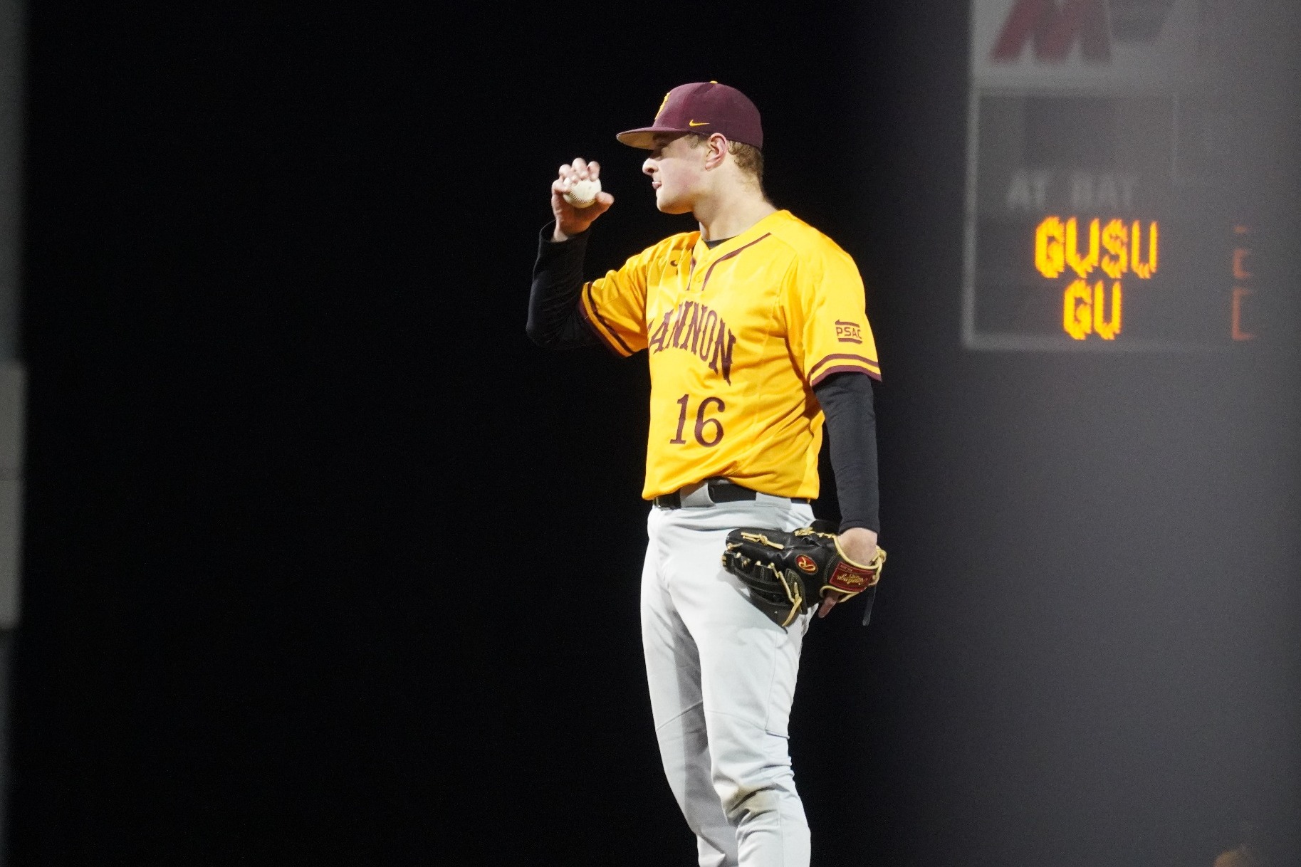 Jacob Engel - 2024 - Baseball - Gannon University Athletics