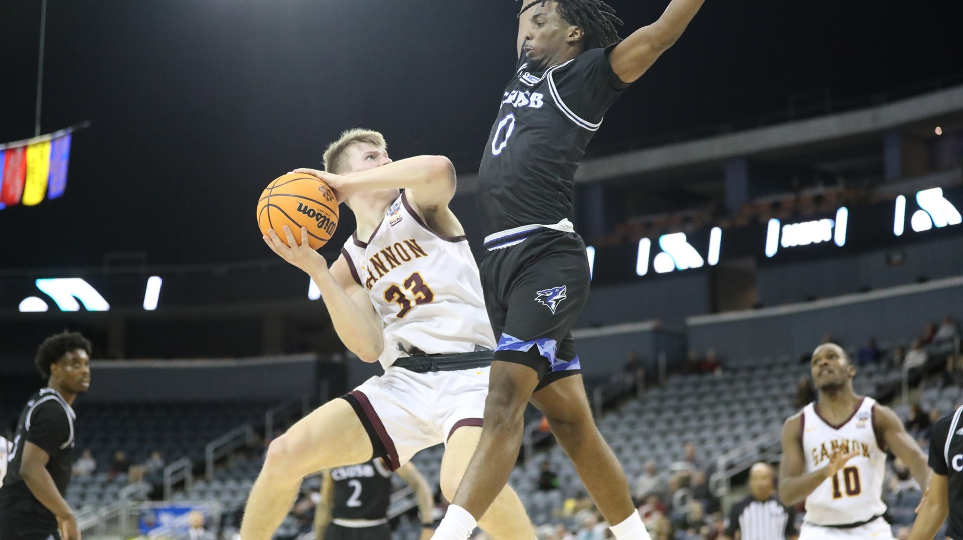 Lyle Tipton - 2023-24 - Men's Basketball - Gannon University Athletics