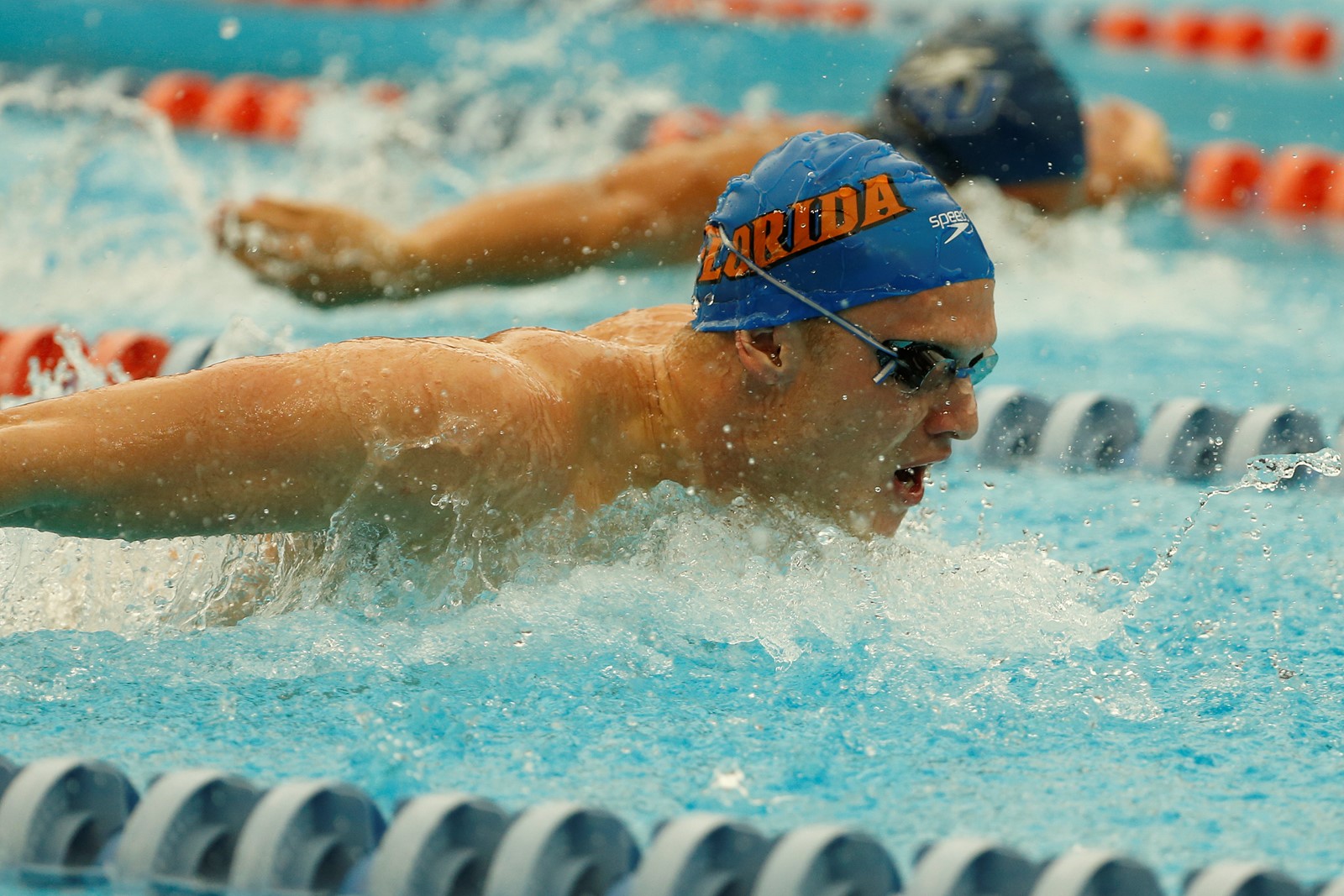 Corey Main - Men's Swimming & Diving - Florida Gators