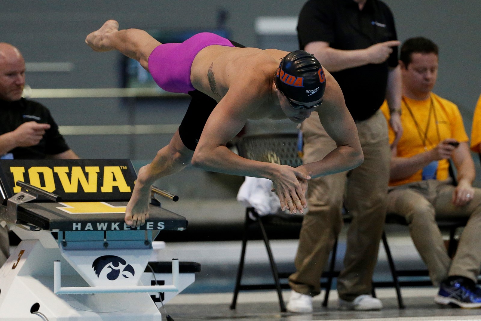 Arthur Frayler - Men's Swimming & Diving - Florida Gators