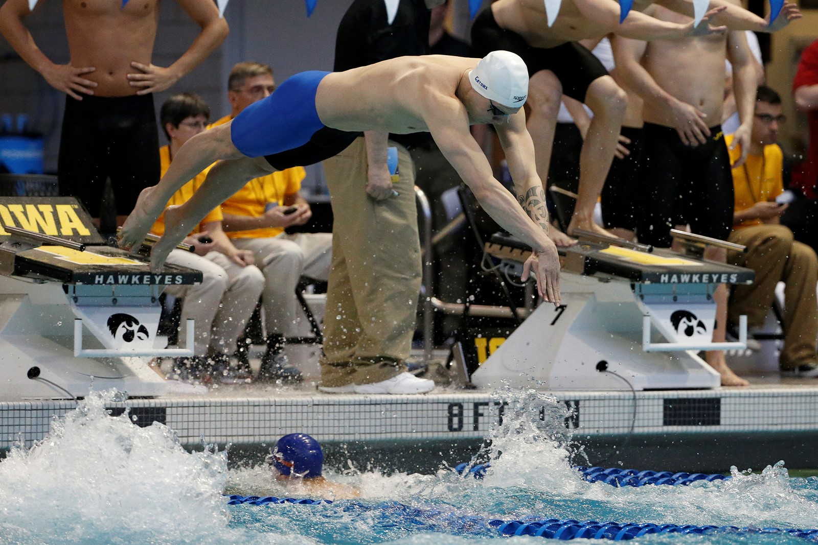 Corey Main - Men's Swimming & Diving - Florida Gators