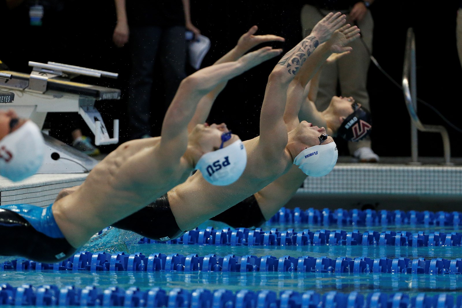 Corey Main - Men's Swimming & Diving - Florida Gators