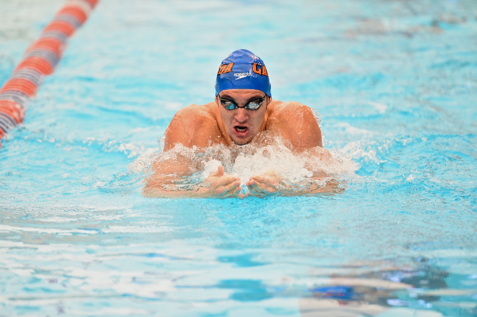 Luke Torres - Men's Swimming & Diving - Florida Gators