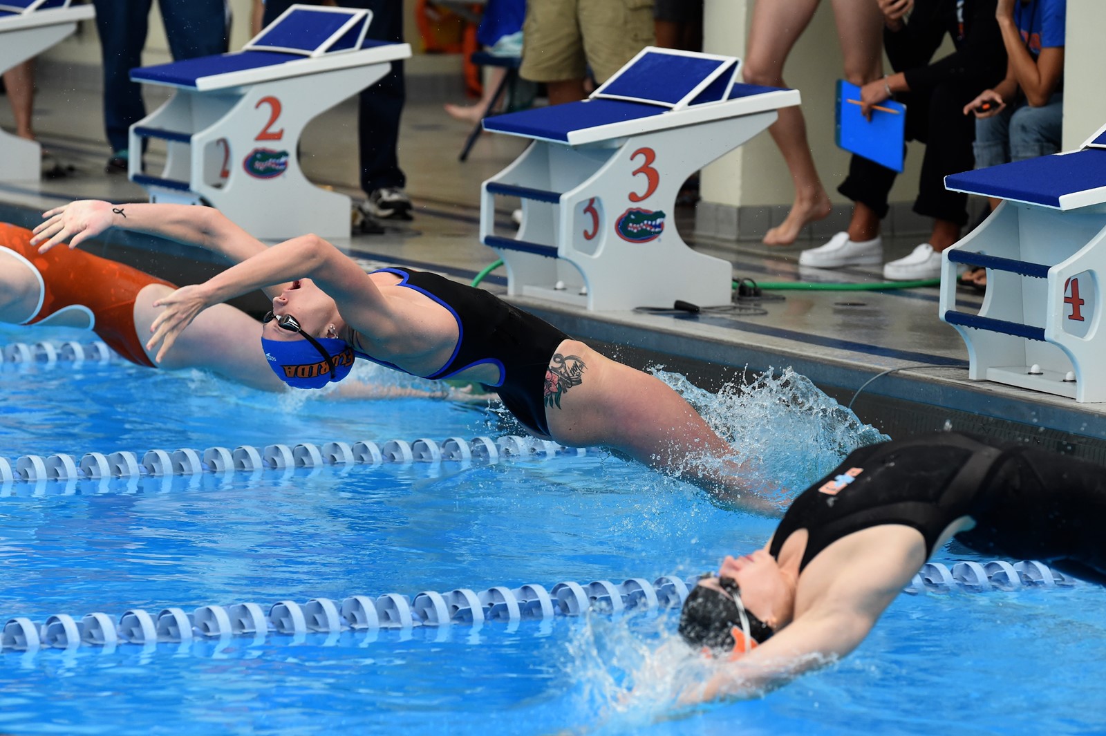 Ashlee Linn - Women's Swimming & Diving - Florida Gators