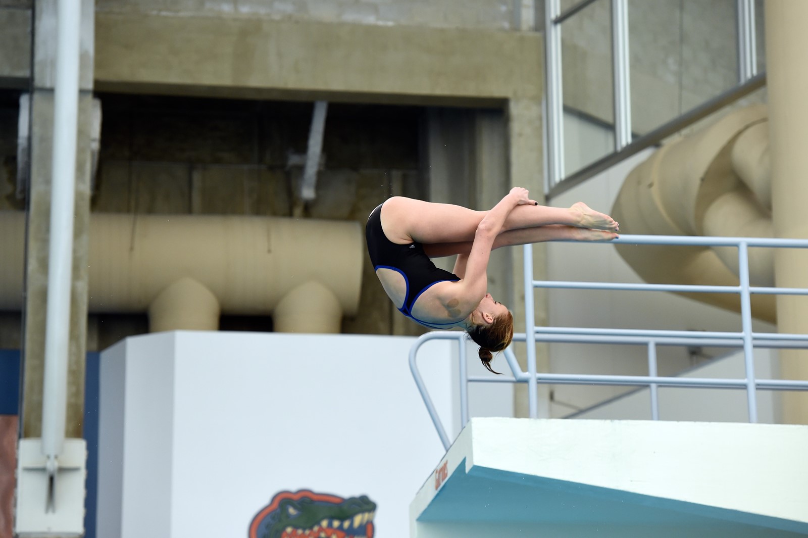 Emily Mosher - Women's Swimming & Diving - Florida Gators