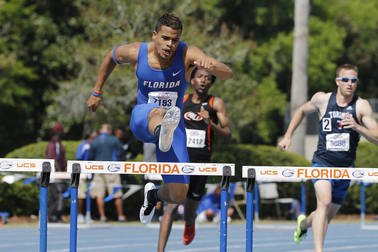 Gabriel Aird - Track and Field - Florida Gators