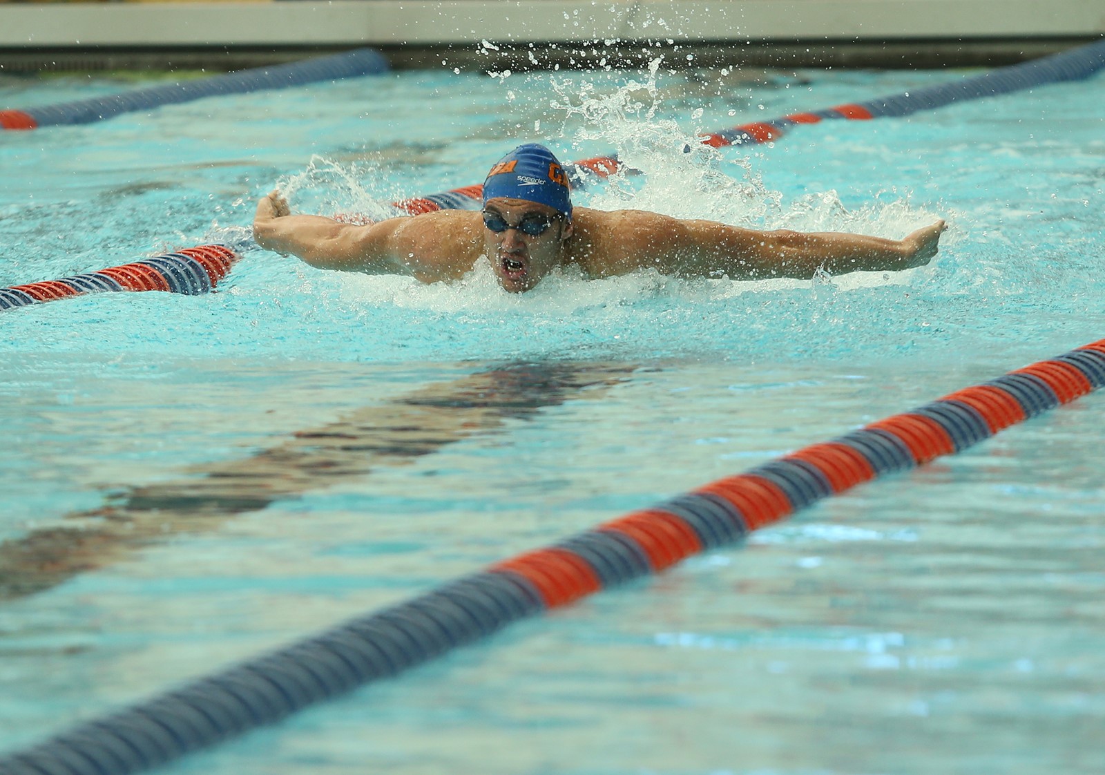 Luke Torres - Men's Swimming & Diving - Florida Gators