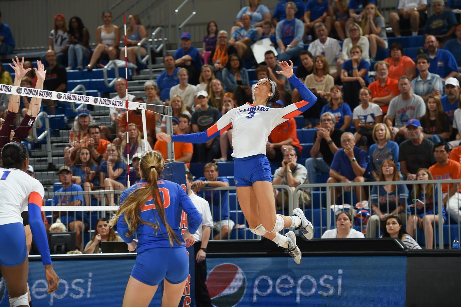 Alex Holston - Volleyball - Florida Gators