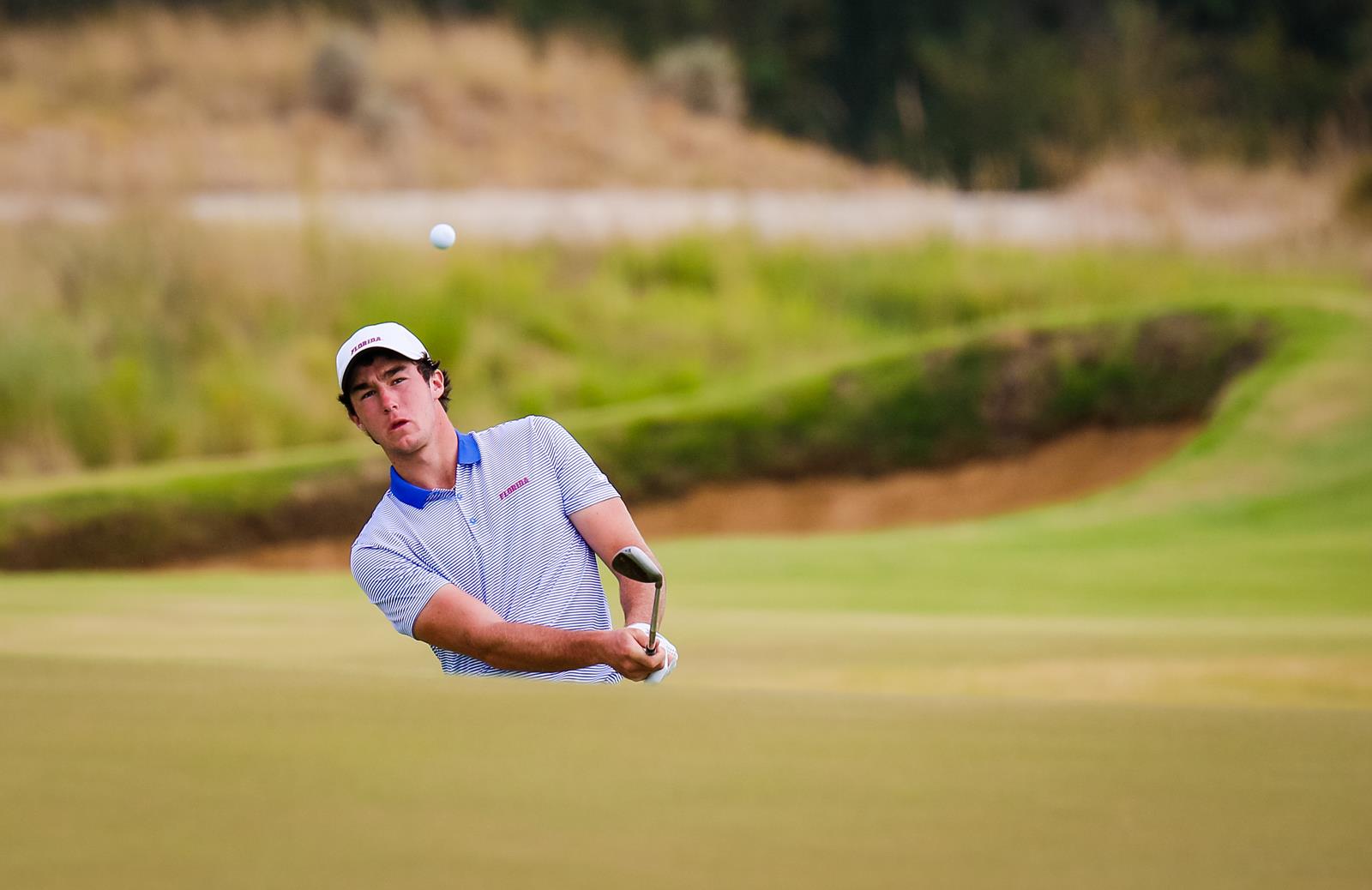 Chris Nido - Men's Golf - Florida Gators