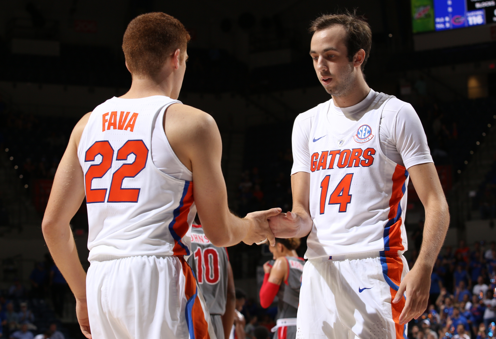 Andrew Fava - Men's Basketball - Florida Gators