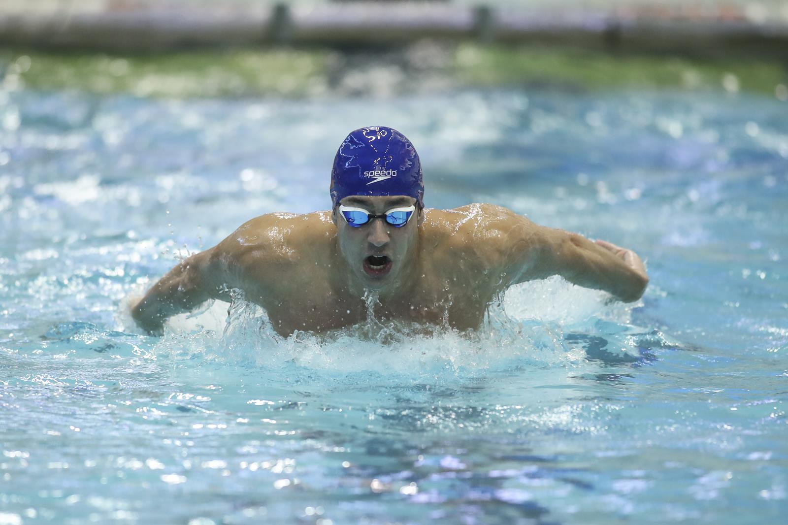 Alex Lebed - Men's Swimming & Diving - Florida Gators