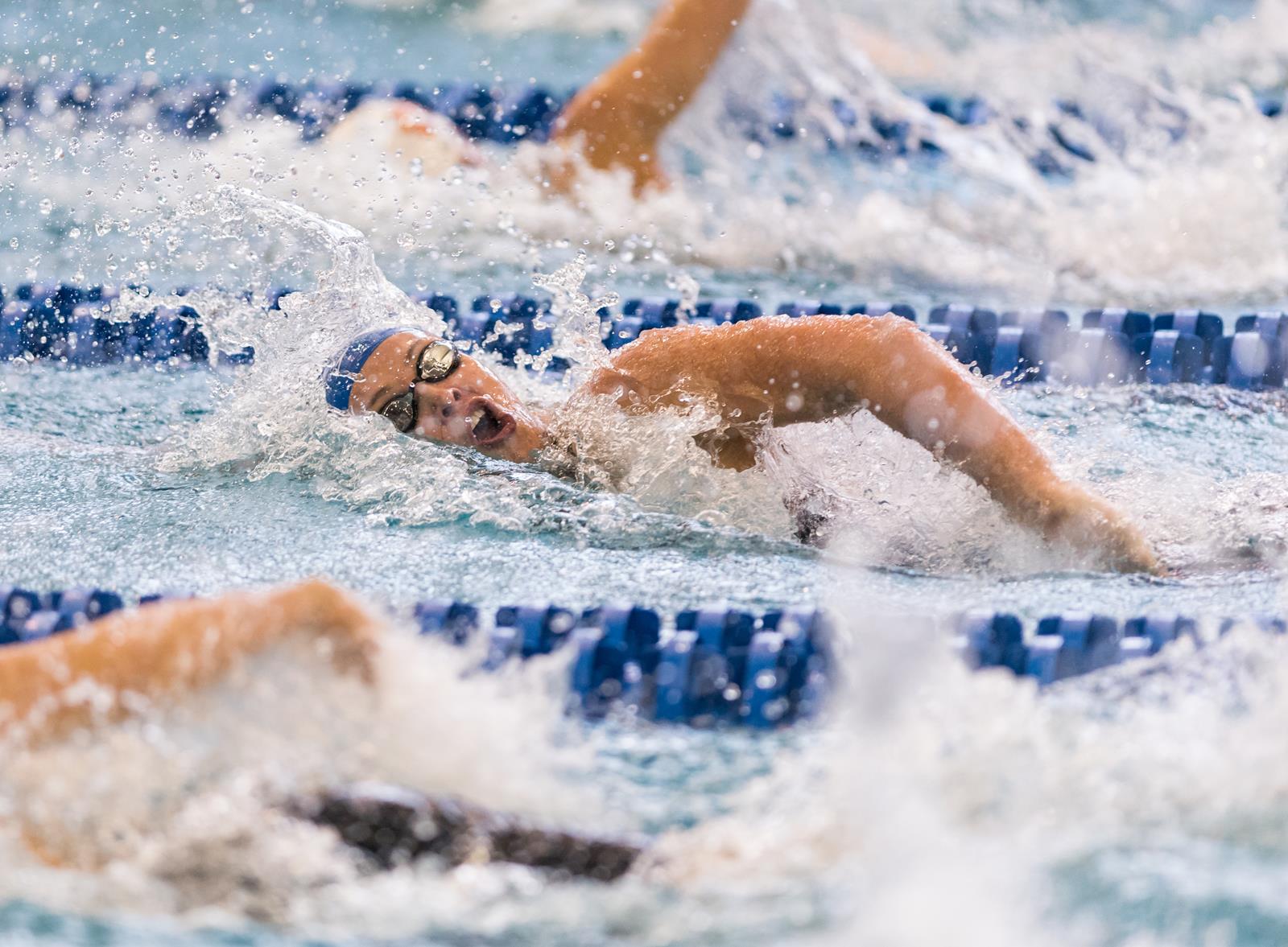 Amelia Maughan - Women's Swimming & Diving - Florida Gators