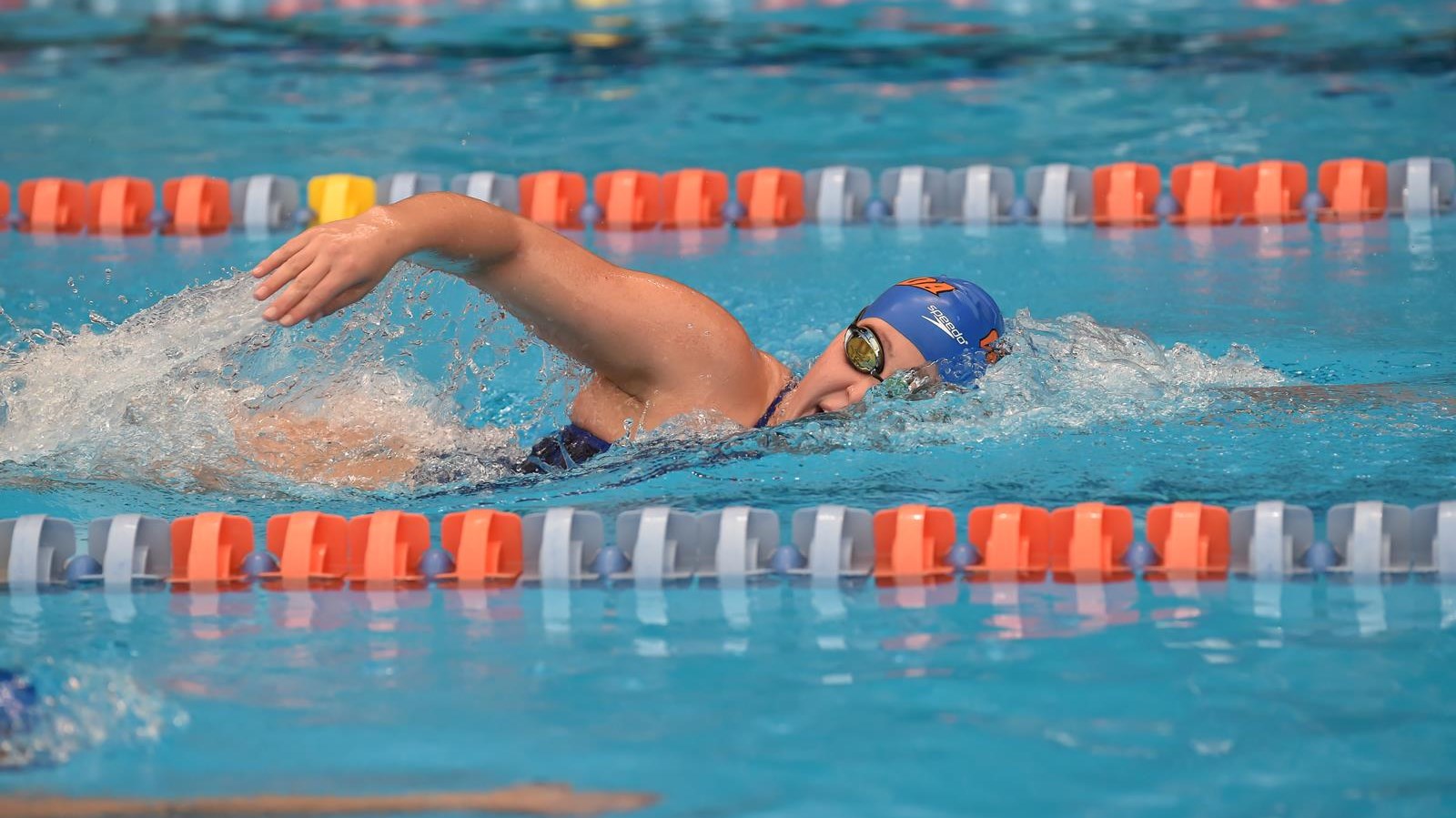 Taylor Ault - Women's Swimming & Diving - Florida Gators