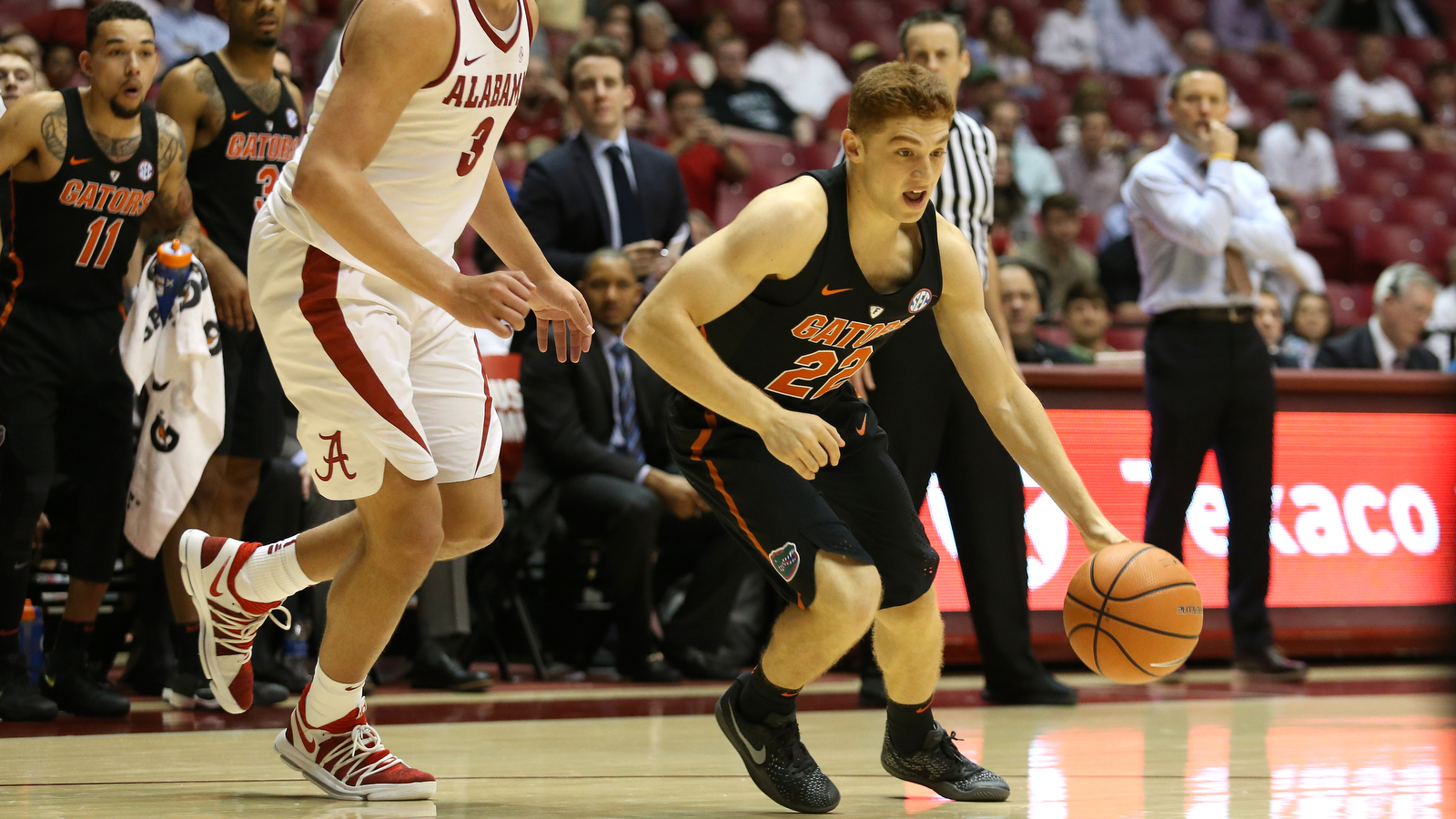 Andrew Fava - Men's Basketball - Florida Gators