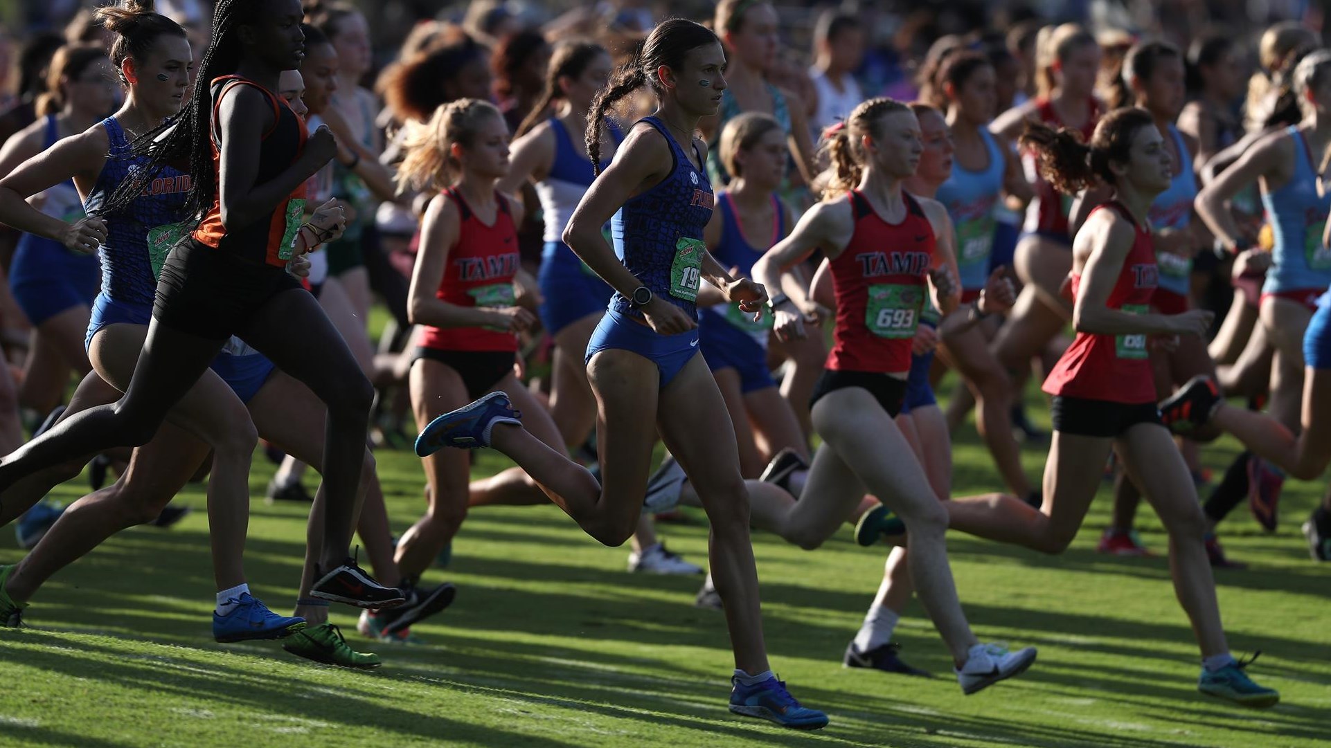 Jessica Pascoe - Cross Country - Florida Gators