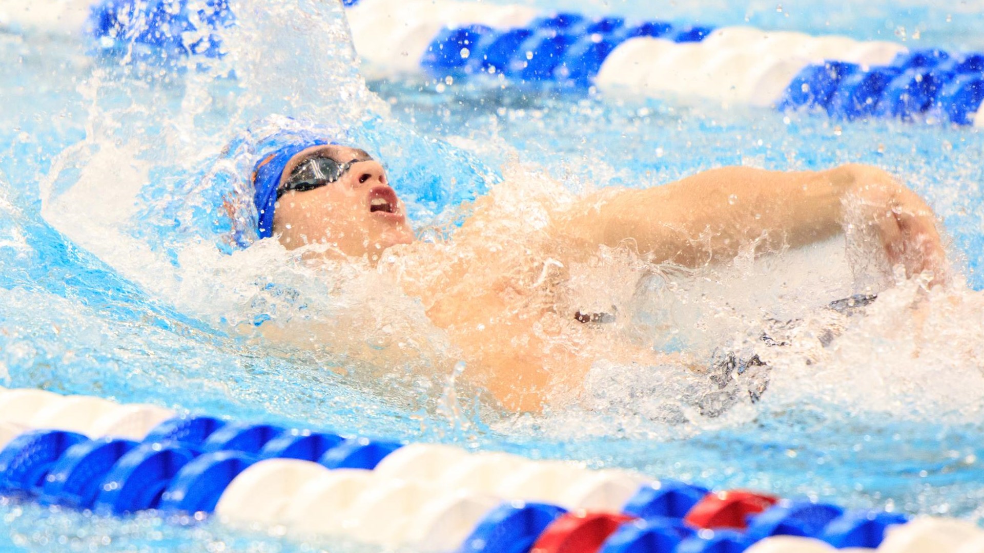 Clark Beach - Men's Swimming & Diving - Florida Gators