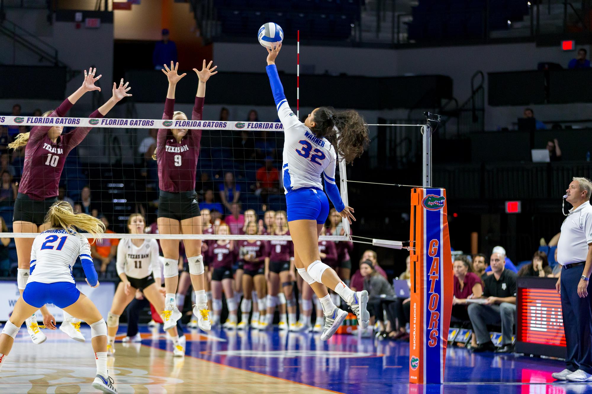 Haley Warner - Volleyball - Florida Gators