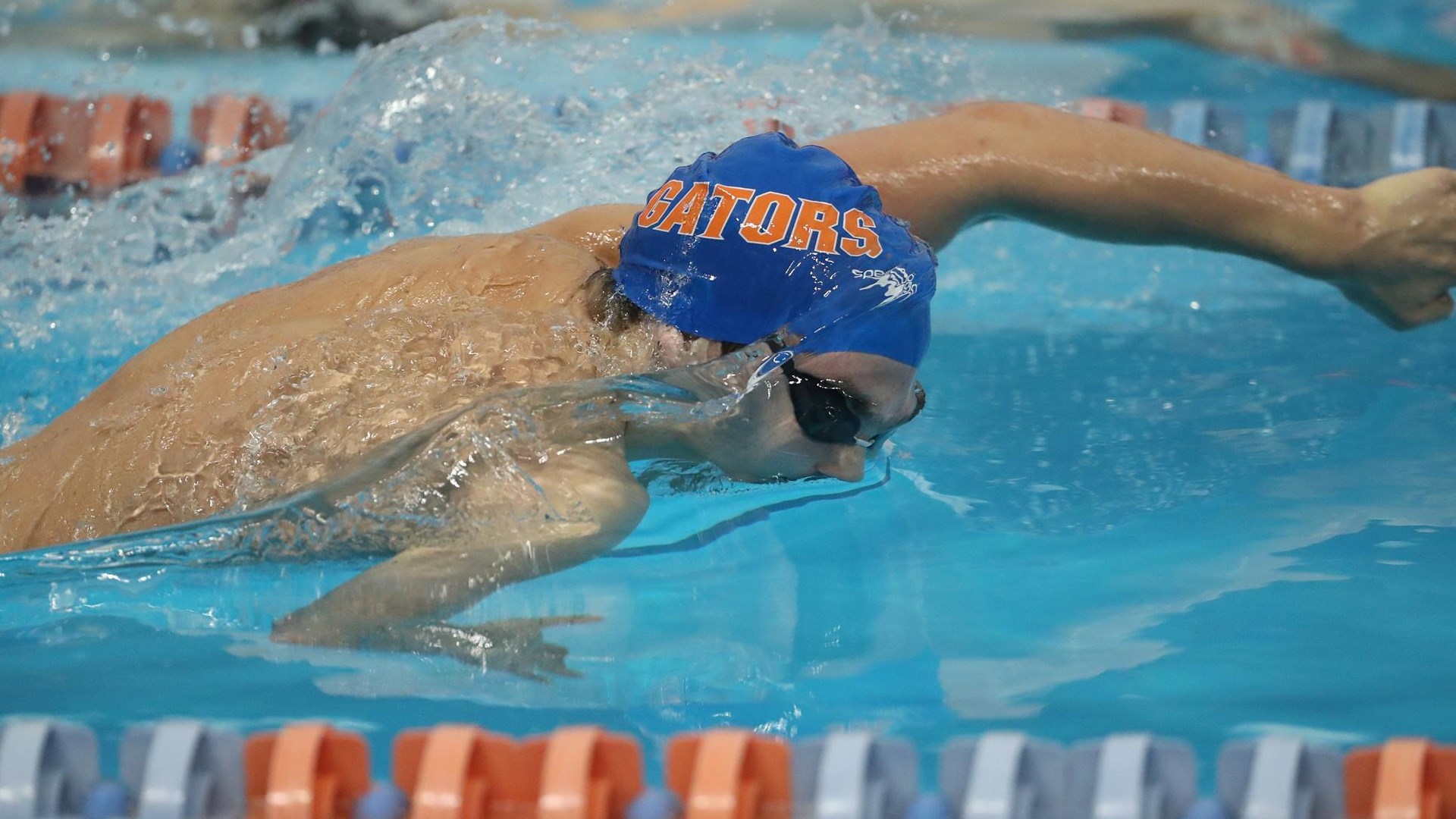 Clark Beach - Men's Swimming & Diving - Florida Gators