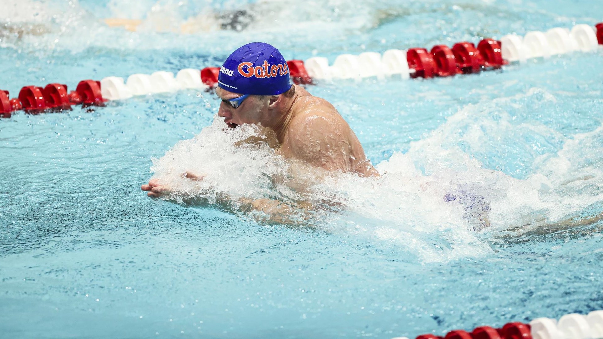 Dillon Hillis - Men's Swimming & Diving - Florida Gators