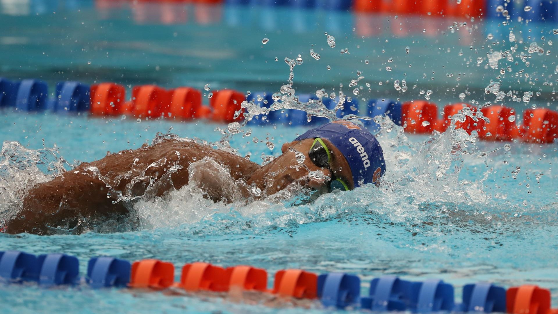 Advait Page - Men's Swimming & Diving - Florida Gators