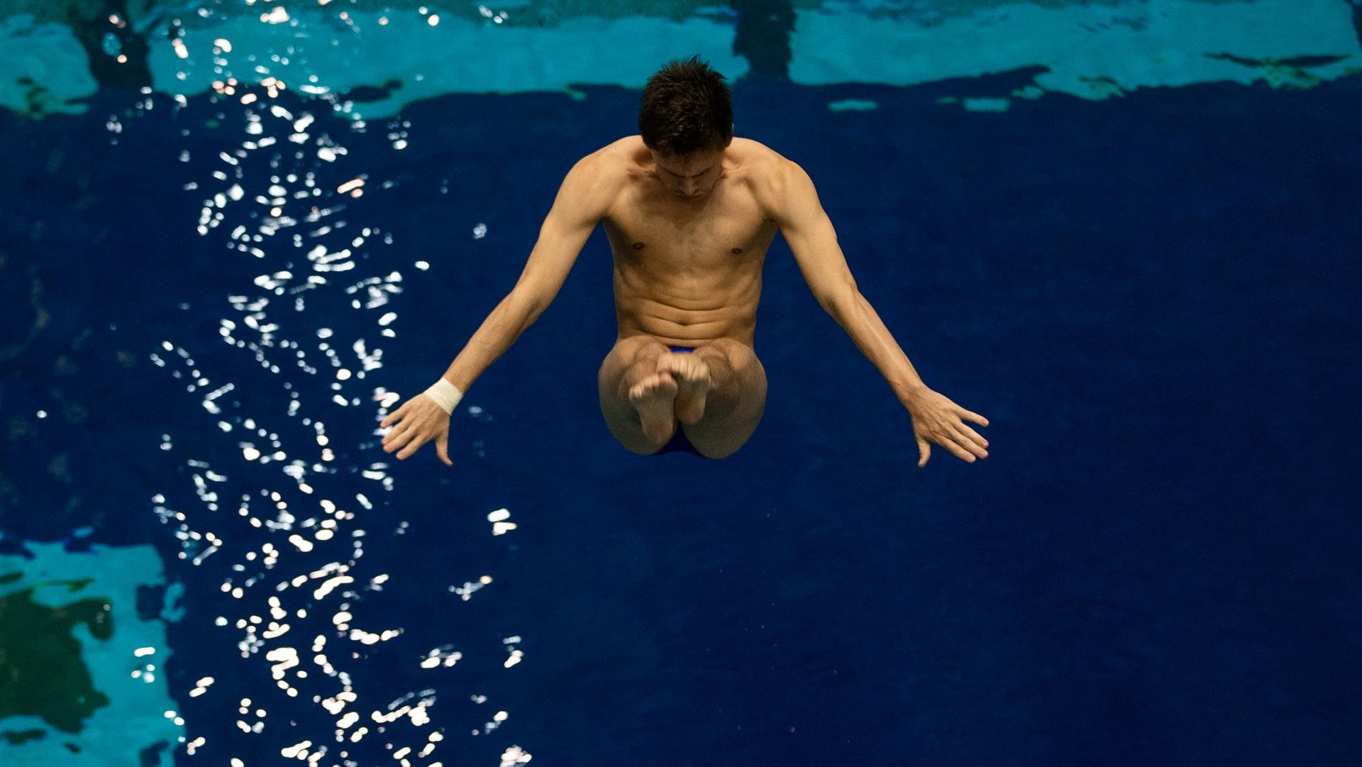 Alex Farrow - Men's Swimming & Diving - Florida Gators