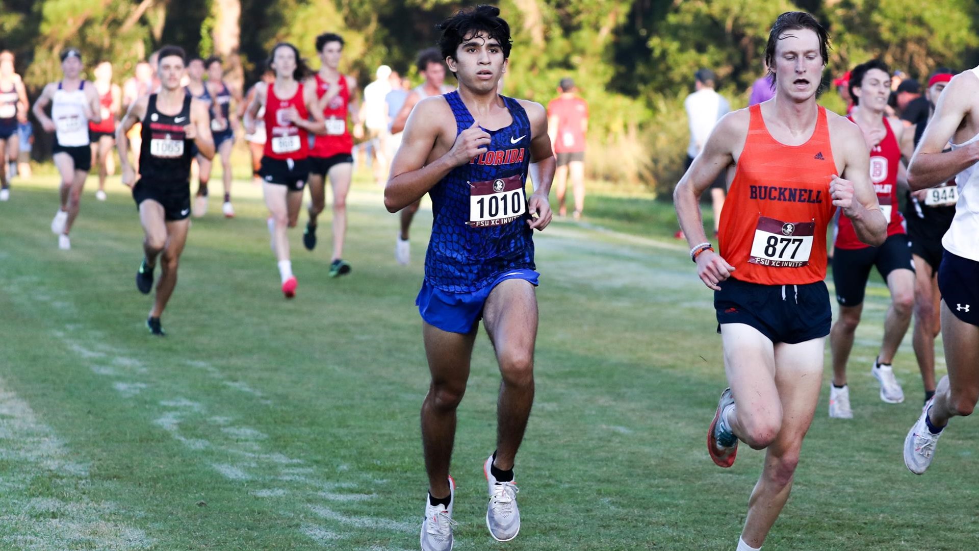 Javi Vento - Cross Country - Florida Gators